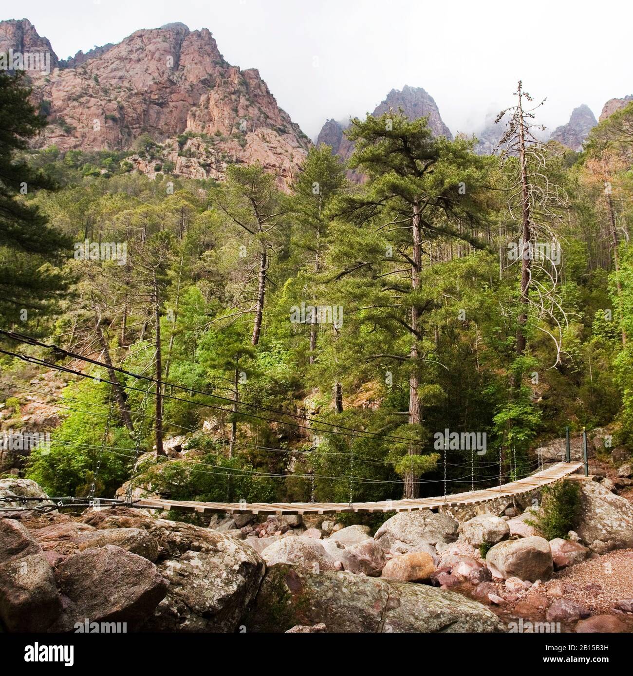 A wire and wood rope suspension bridge in the high mountains of Corsica ...
