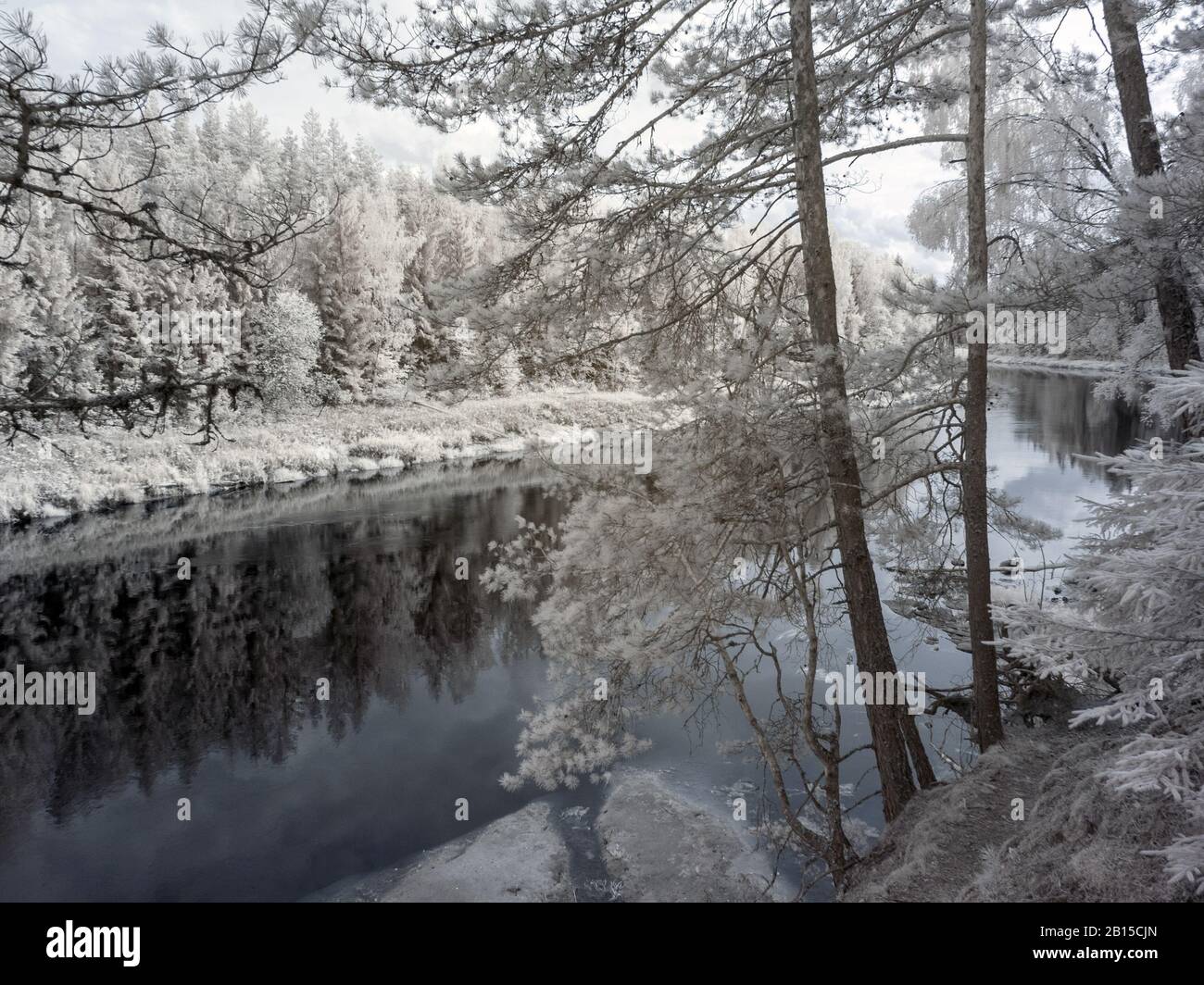infrared photo: river landscape and amazing beautiful trees and ...