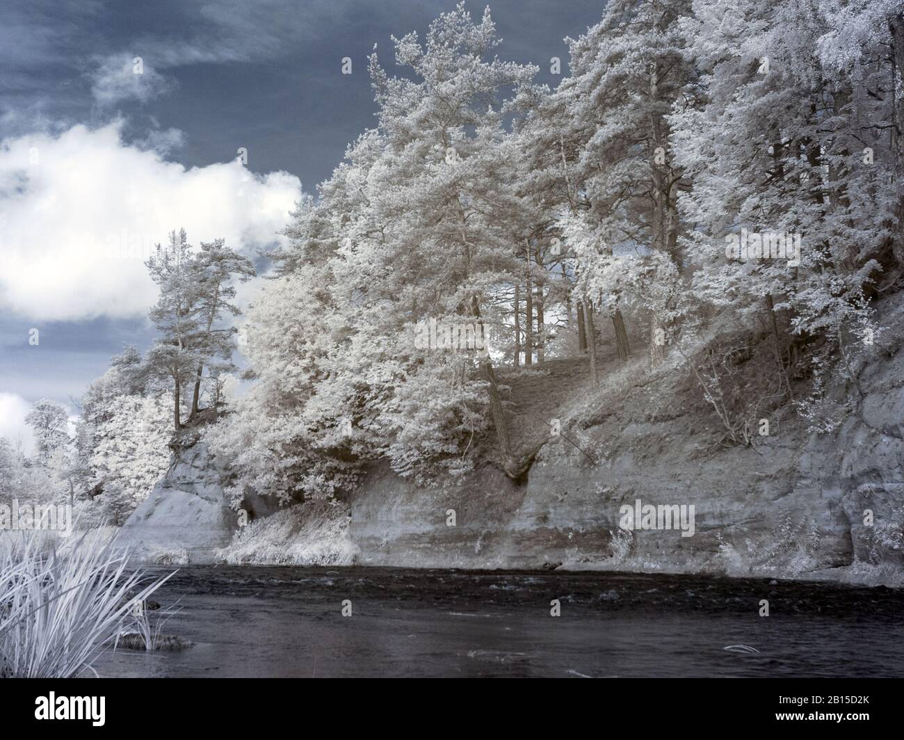 infrared photo: river landscape and amazing beautiful trees and ...