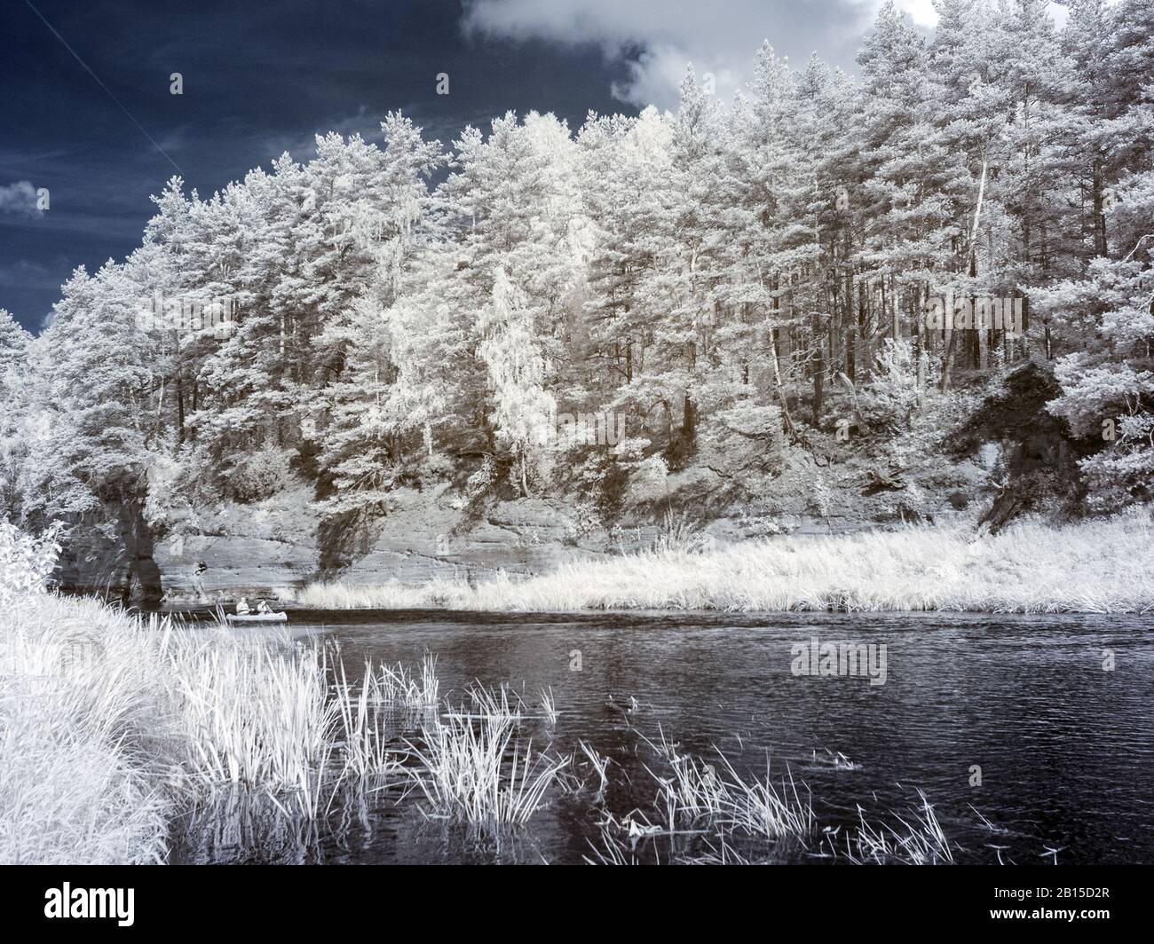 infrared photo: river landscape and amazing beautiful trees and ...