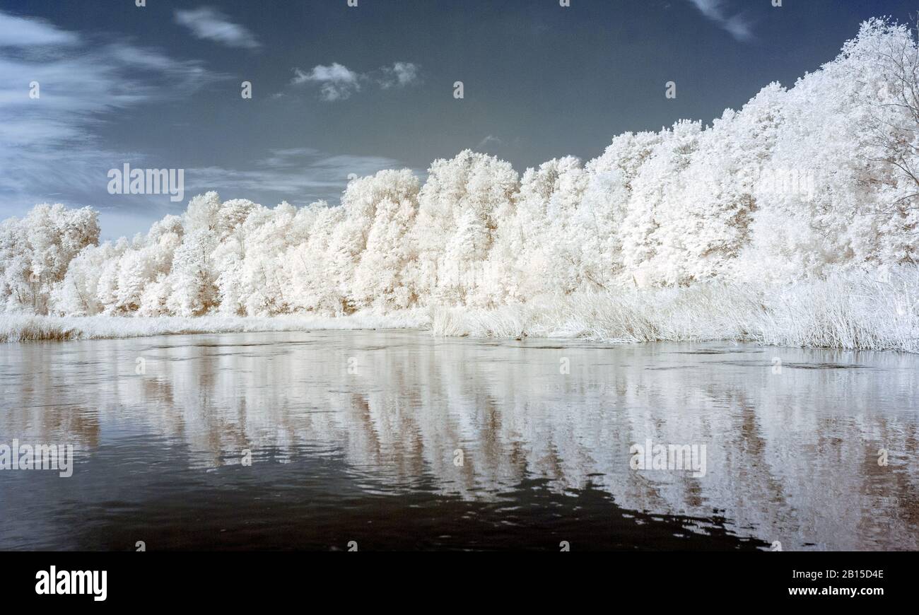 infrared photo: river landscape and amazing beautiful trees and ...