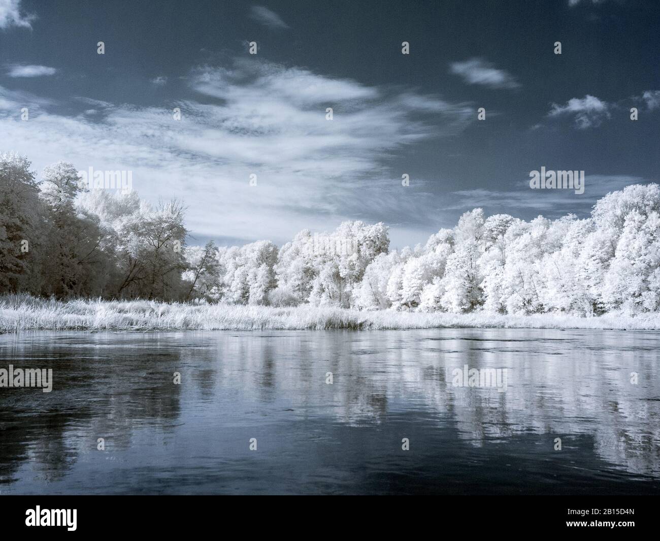 infrared photo: river landscape and amazing beautiful trees and ...