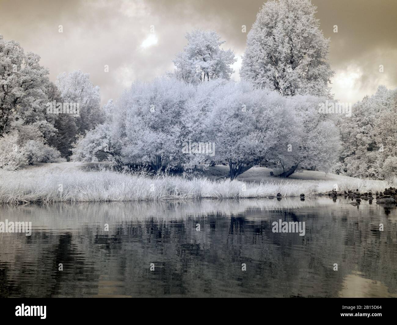 infrared photo: river landscape and amazing beautiful trees and ...