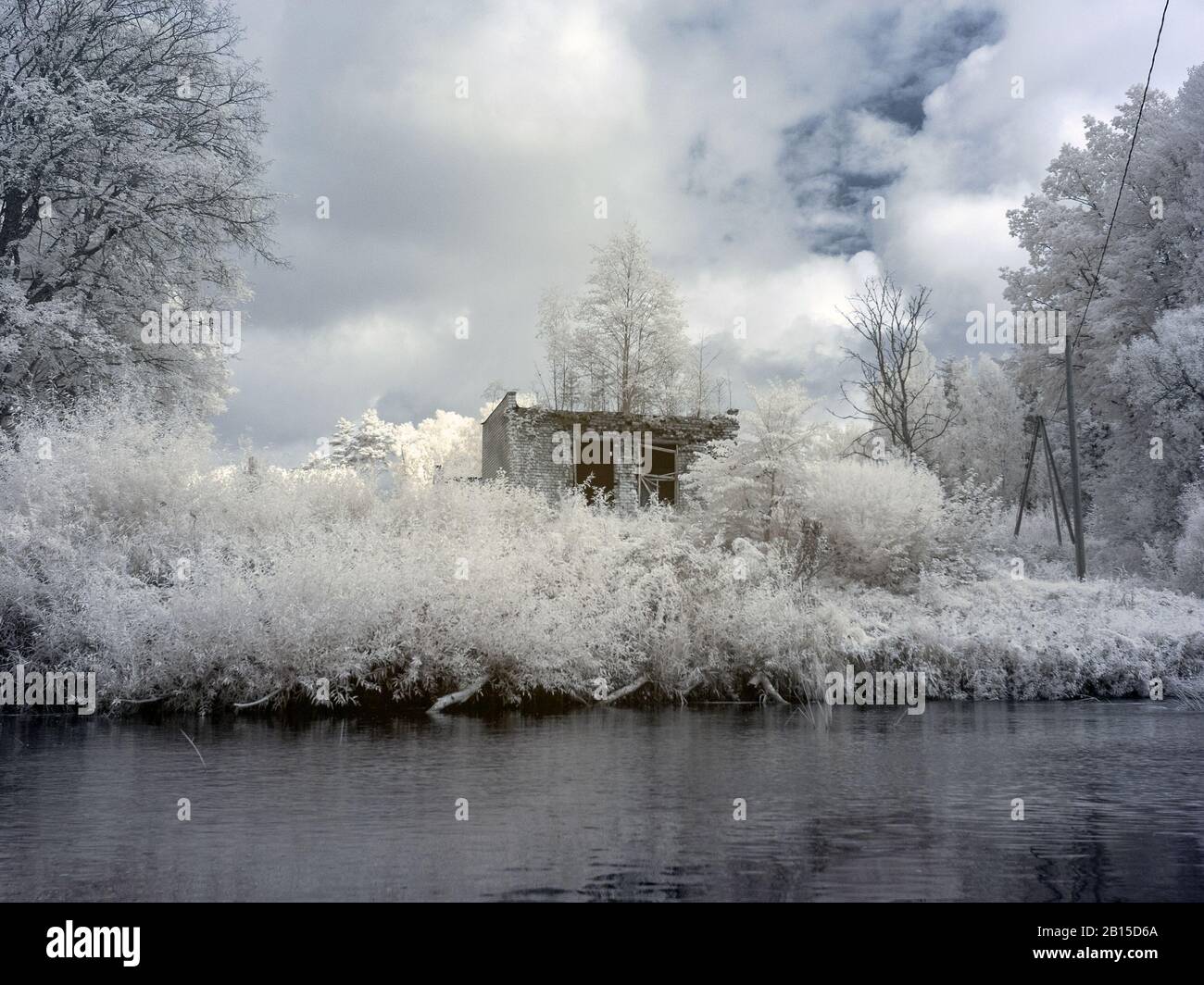 infrared photo: river landscape and amazing beautiful trees and ...