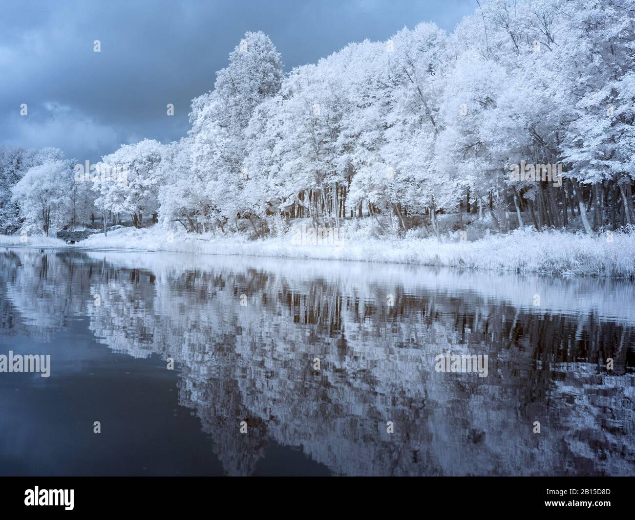 infrared photo: river landscape and amazing beautiful trees and ...