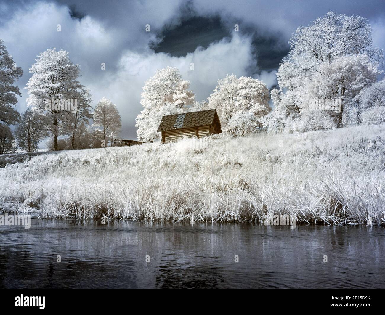 infrared photo: river landscape and amazing beautiful trees and ...