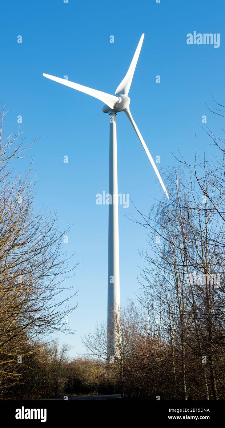 Isolated wind turbine surrounded by trees and a clear blue sky behind ...