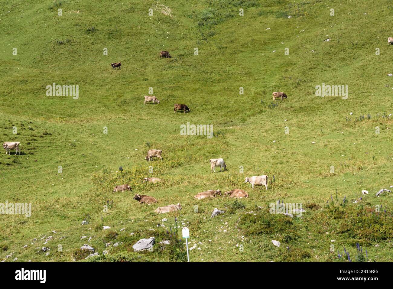 Alpen rund um Innsbruck Tirol Austria Europe Stock Photo - Alamy