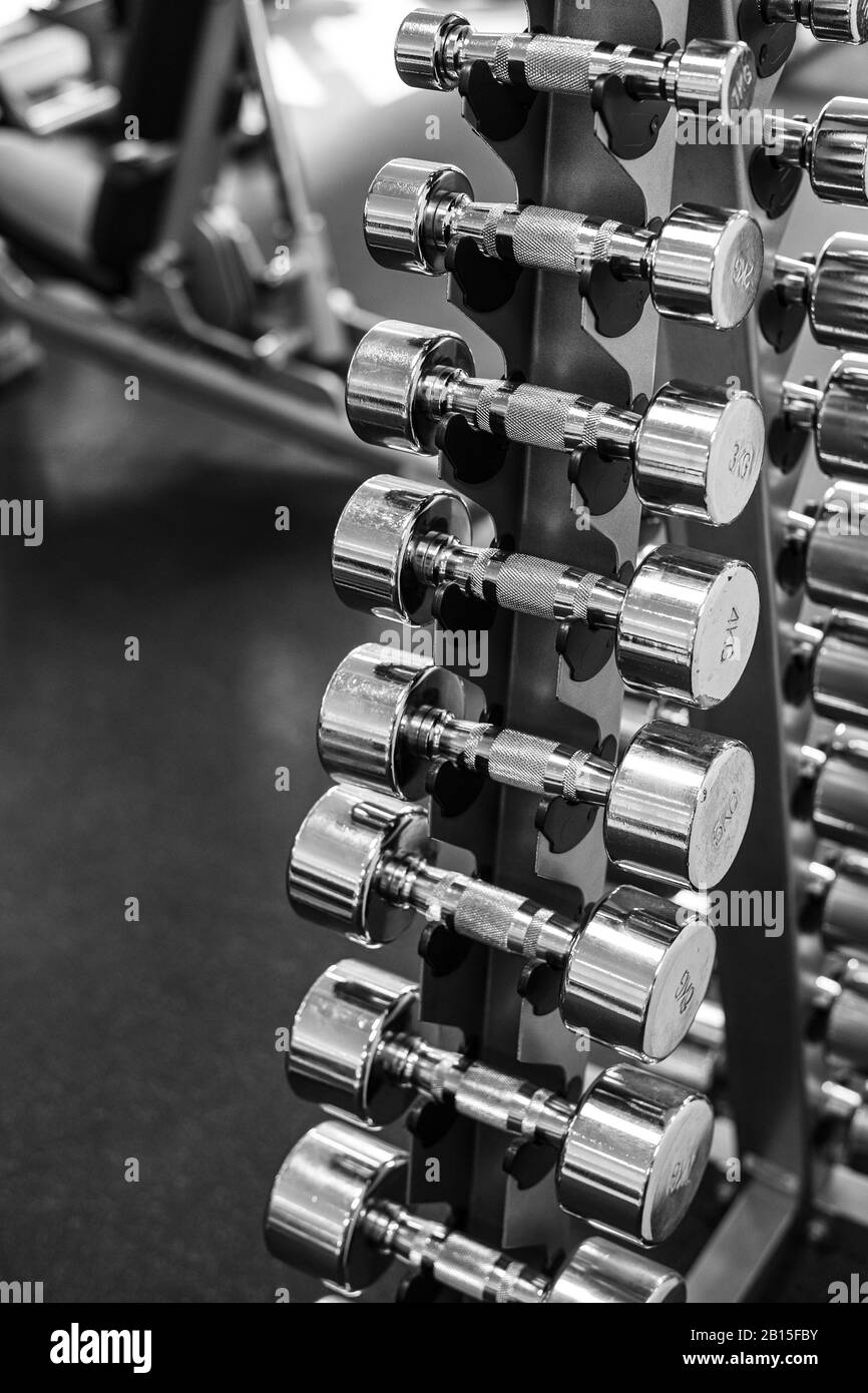 Set of different weight dumbbells in the gym Stock Photo - Alamy