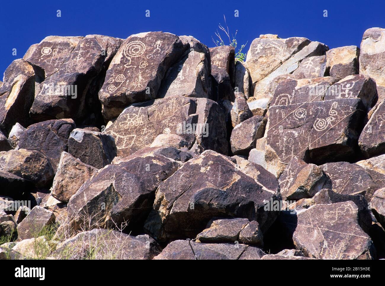 Signal Hill petroglyphs, Saguaro National Park-Tucson Mountain District ...