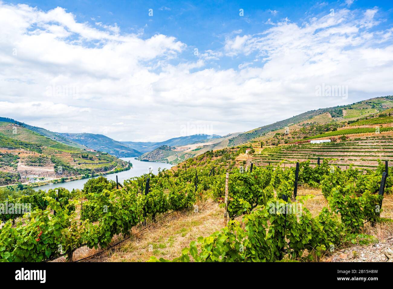 Douro river valley vineyard people hi-res stock photography and images ...