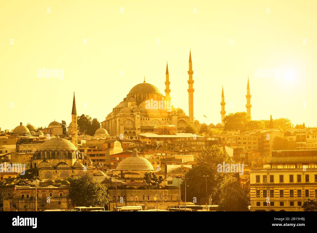Istanbul by the Golden Horn, Turkey. The historical center of Istanbul ...