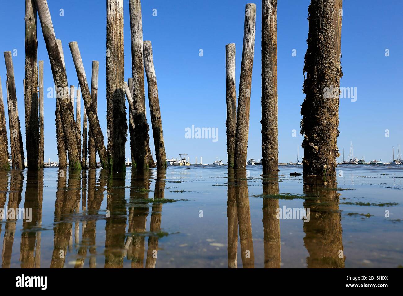 Dilapidated and abandoned jetty at Provincetown, USA Stock Photo - Alamy