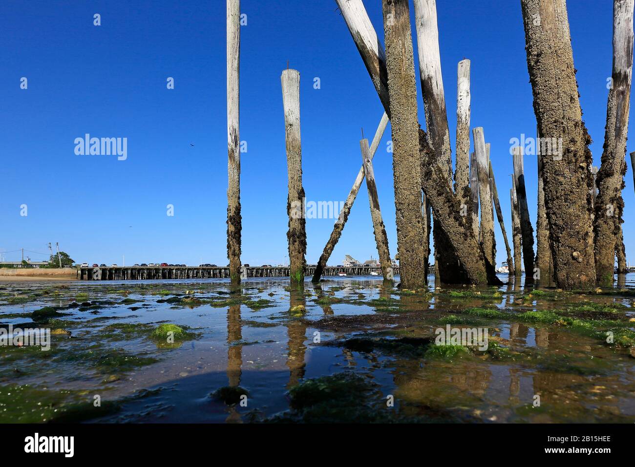 Dilapidated and abandoned jetty at Provincetown, USA Stock Photo - Alamy