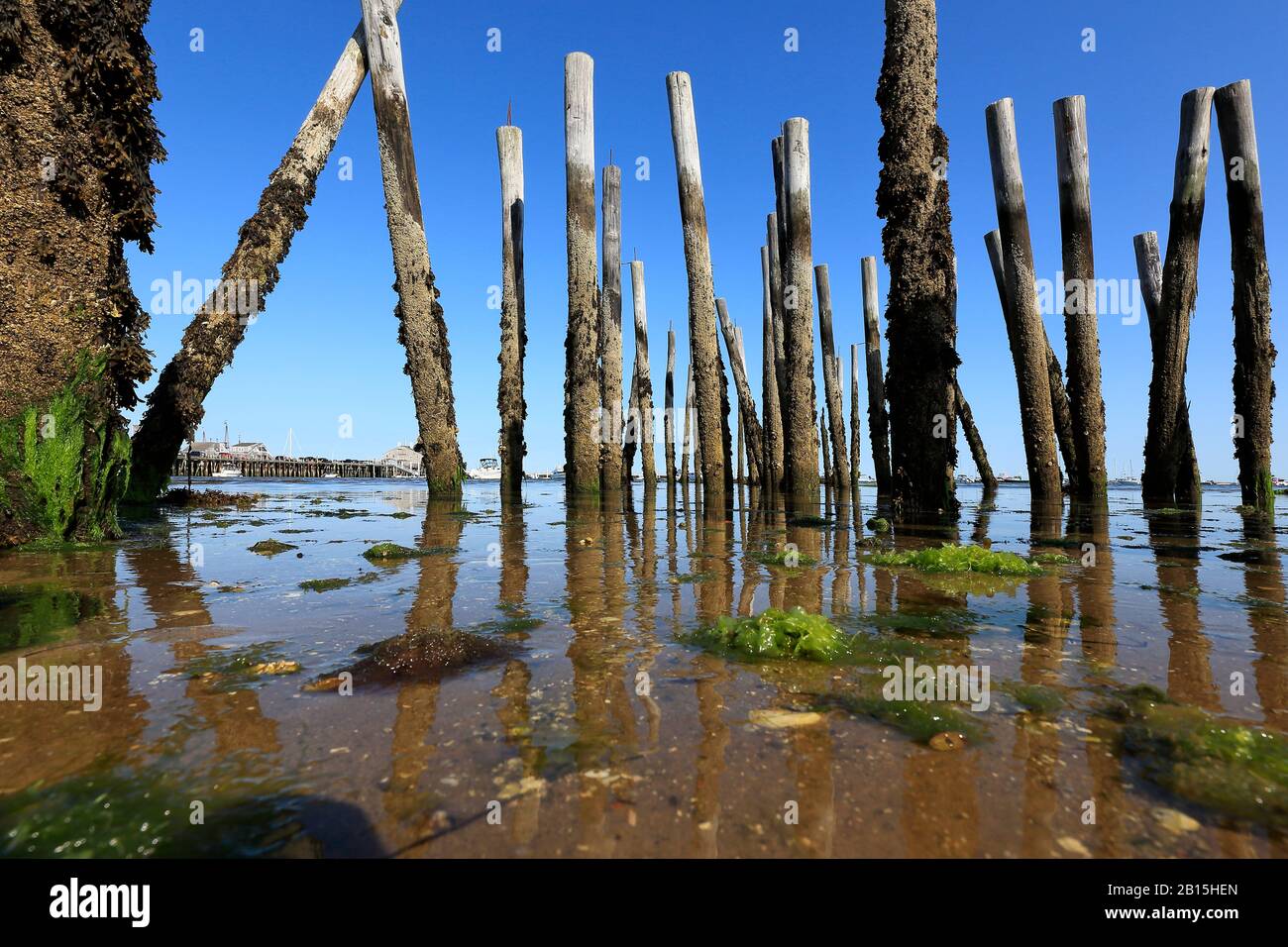Dilapidated and abandoned jetty at Provincetown, USA Stock Photo - Alamy