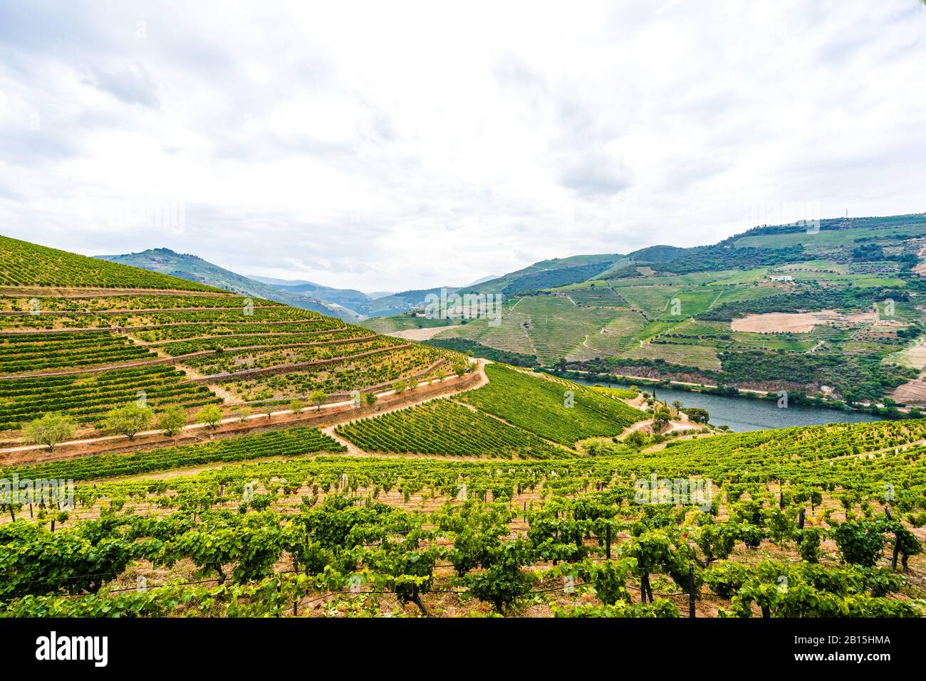 Agriculture in portugal hi-res stock photography and images - Alamy
