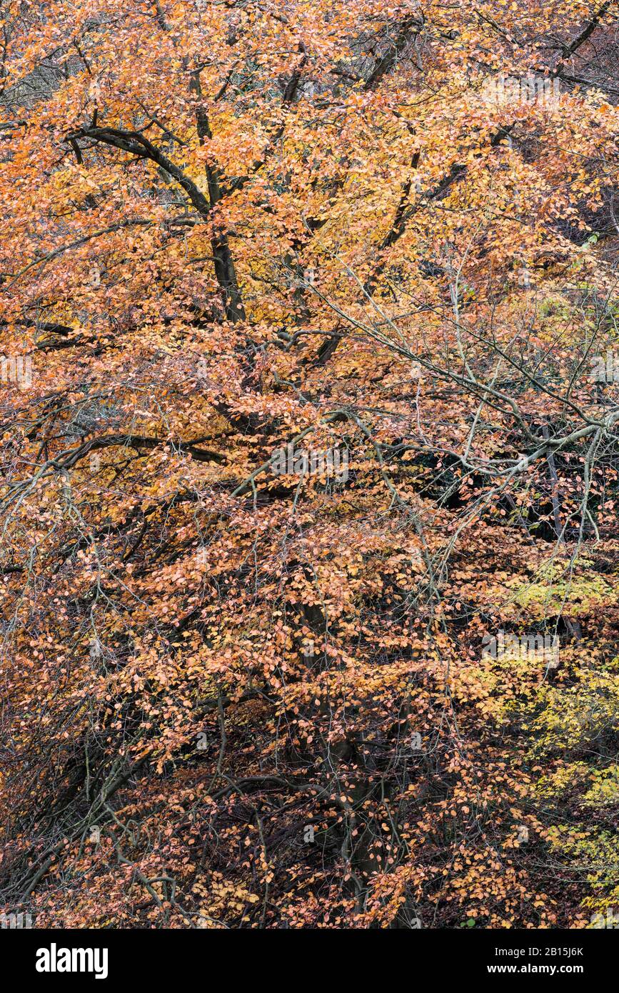 Jackfield bridge hi-res stock photography and images - Alamy