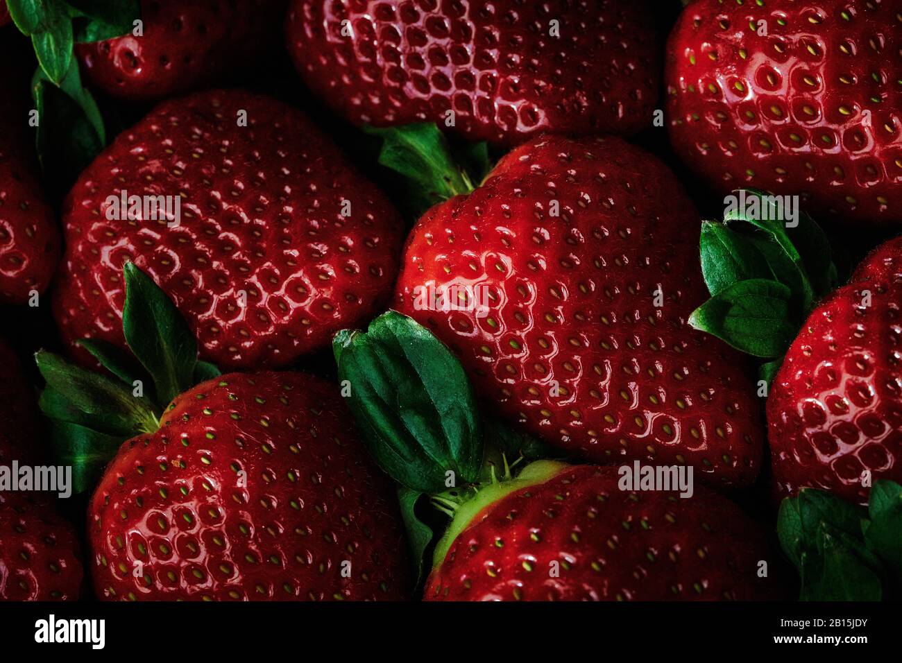 Large new season organic radiant red strawberries with fresh green ...