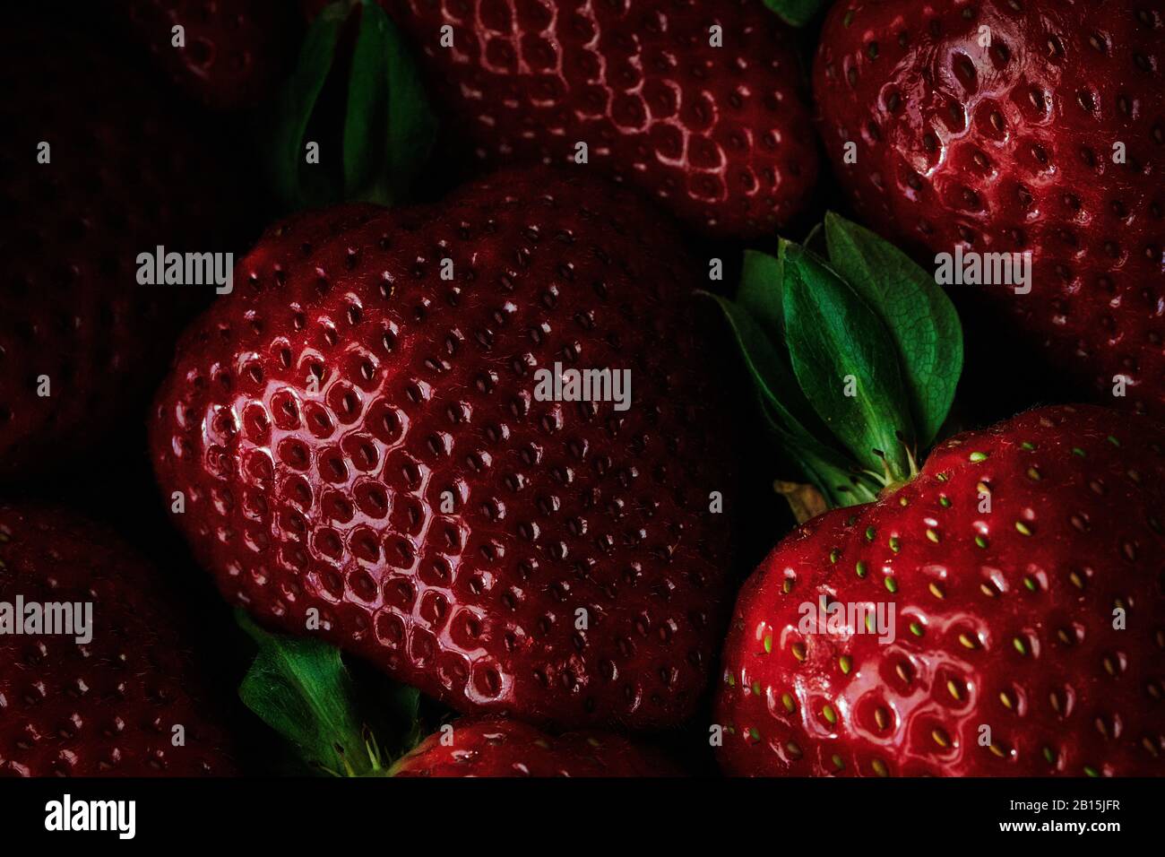 Large new season organic radiant red strawberries with fresh green ...