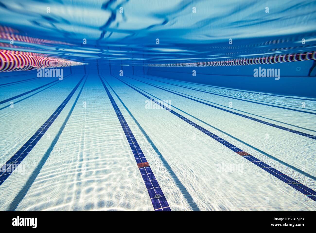 Olympic Swimming pool underwater background Stock Photo - Alamy