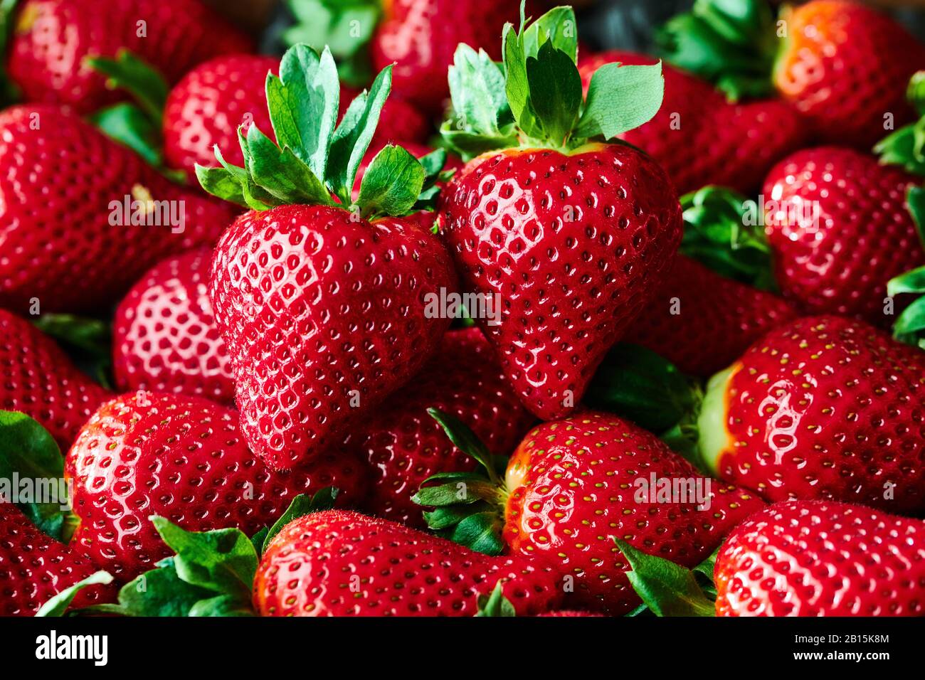 Large new season organic radiant red strawberries with fresh green ...