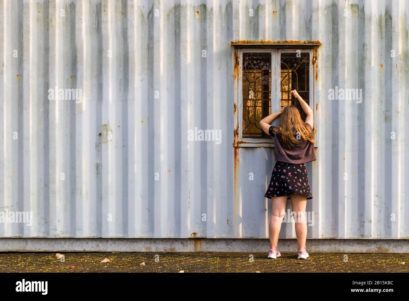 Young girl stay and look in a container window Stock Photo - Alamy