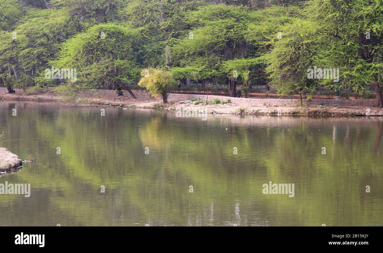 Sanjay Lake Park in Delhi, India Stock Photo - Alamy