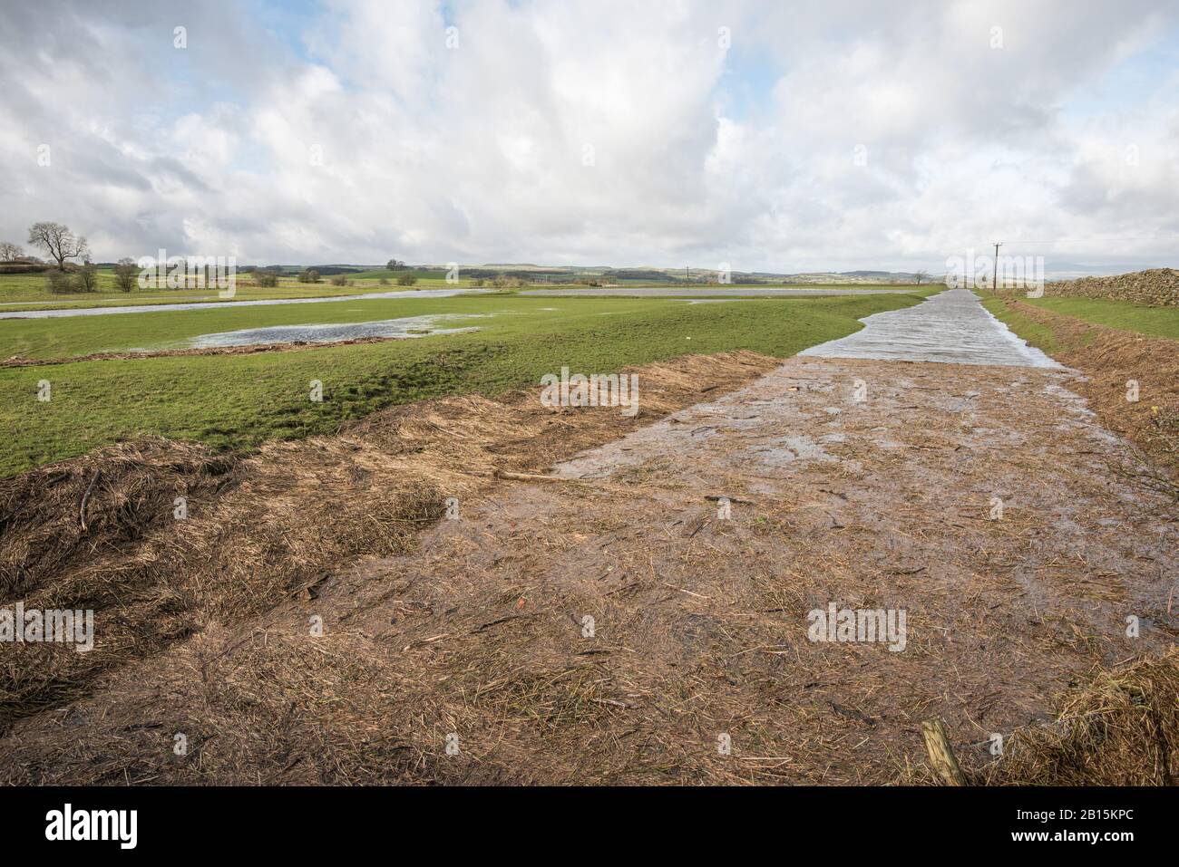 Ribble Floodplain High Resolution Stock Photography and Images - Alamy