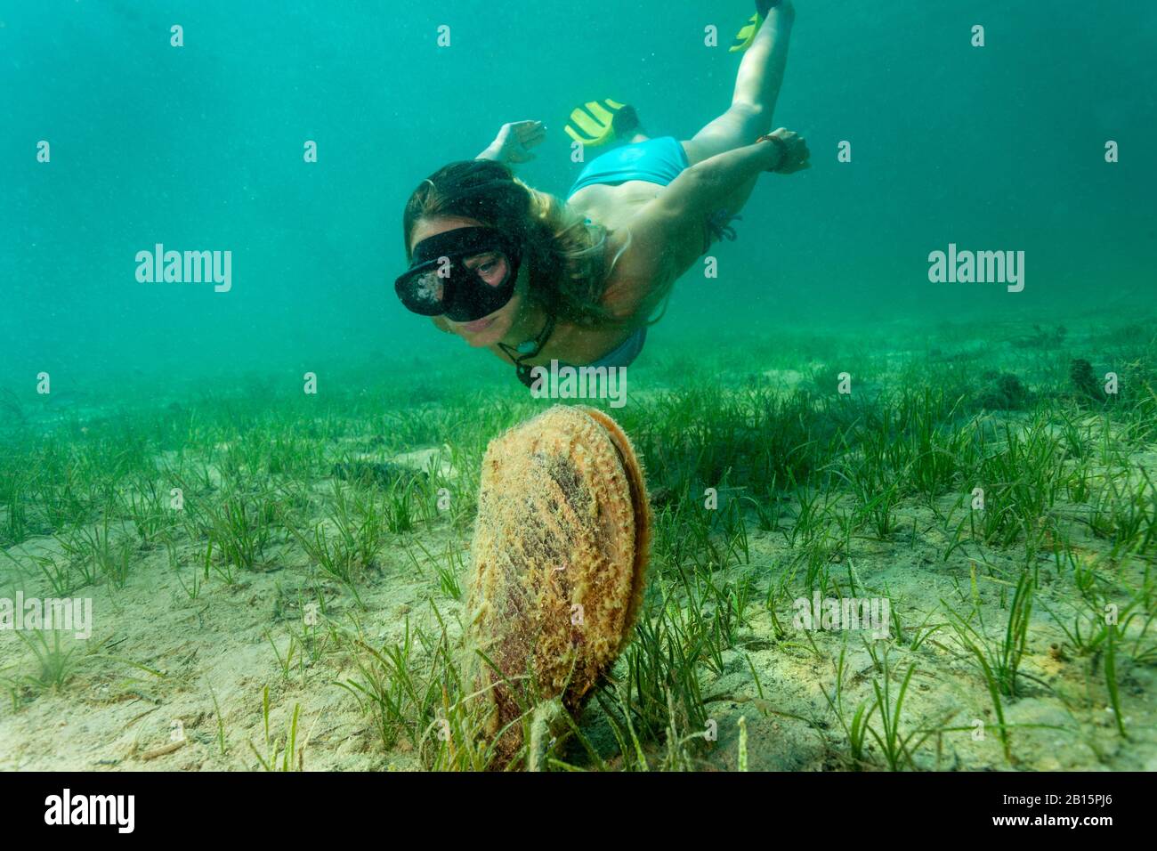Snorkeling diving suit hi-res stock photography and images - Alamy