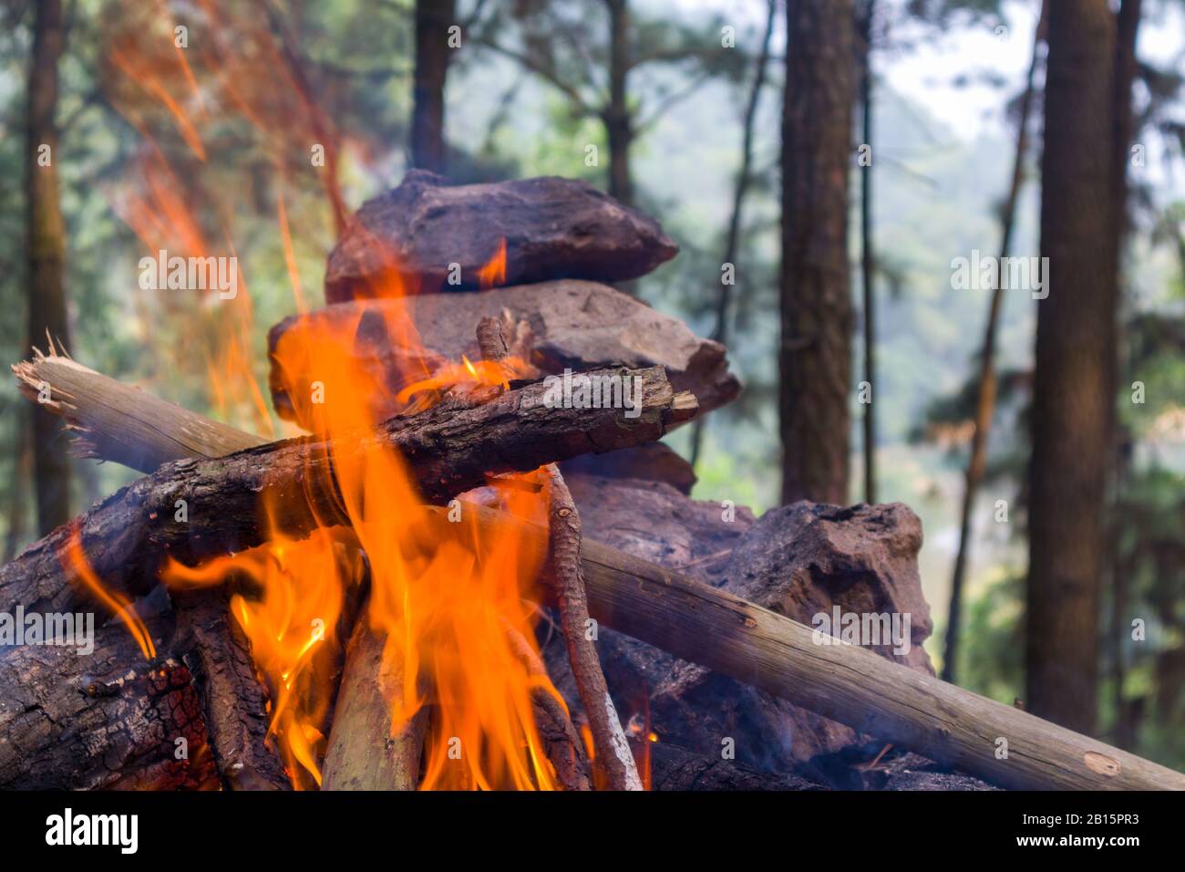 Bonfire fire in a forest close-up as a background. blur Stock Photo - Alamy