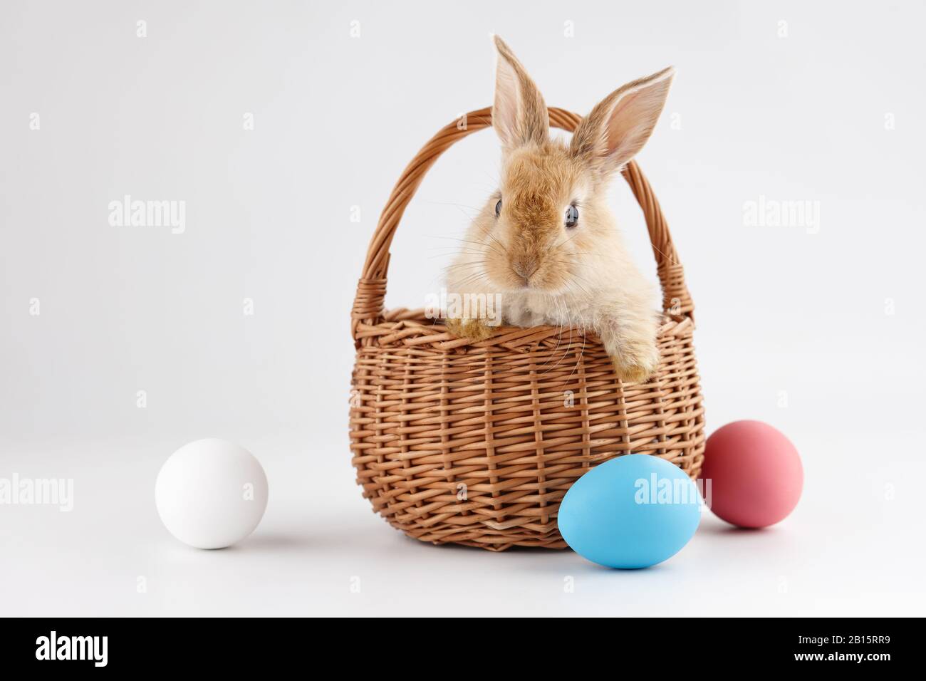 Rabbit and basket hi-res stock photography and images - Alamy