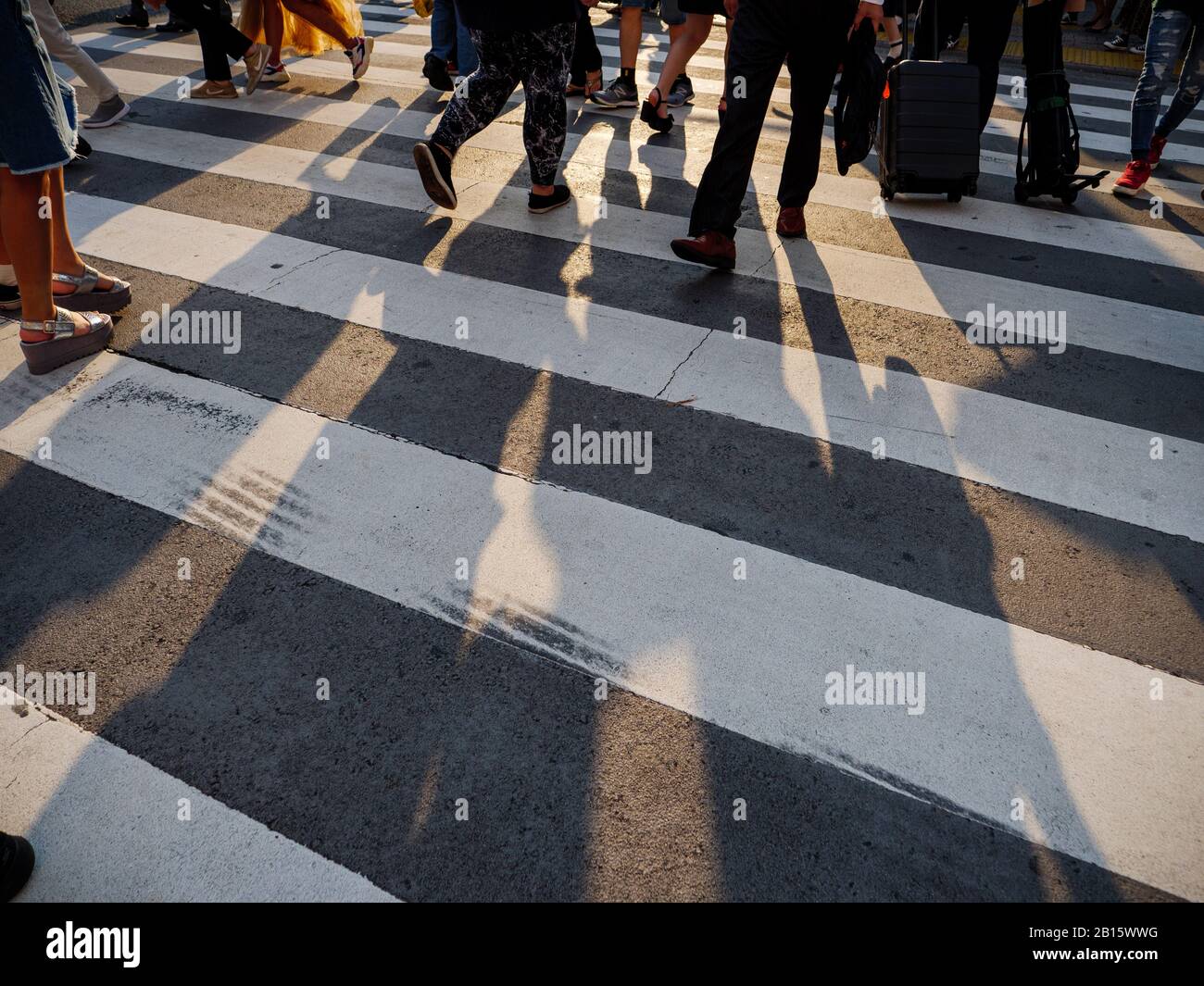 Shibuya, Japan - 23 9 19: In the crowd crossing the Shibuya scramble ...