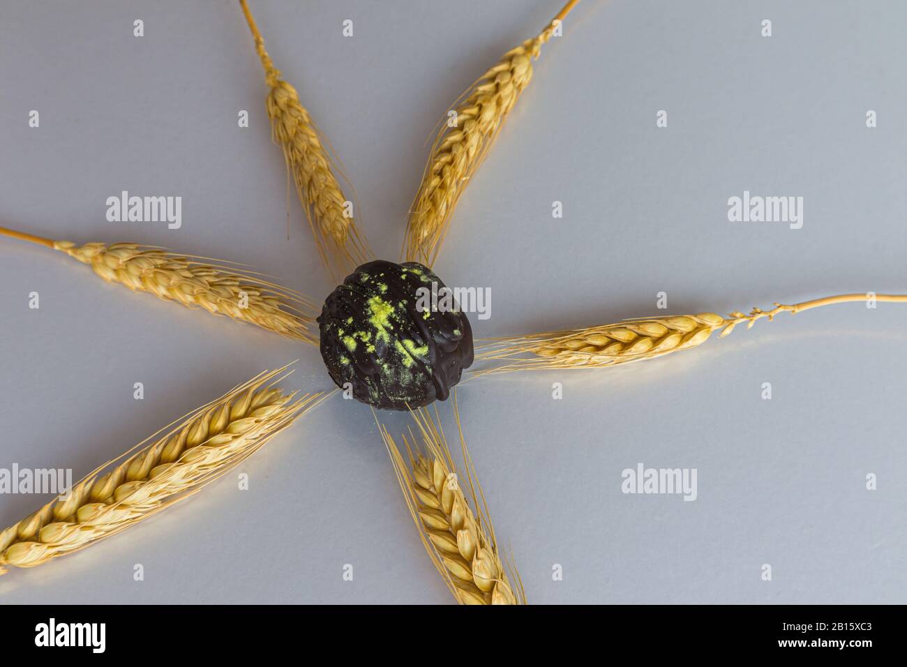 Handmade candies on a white background between spikes decoration Stock ...