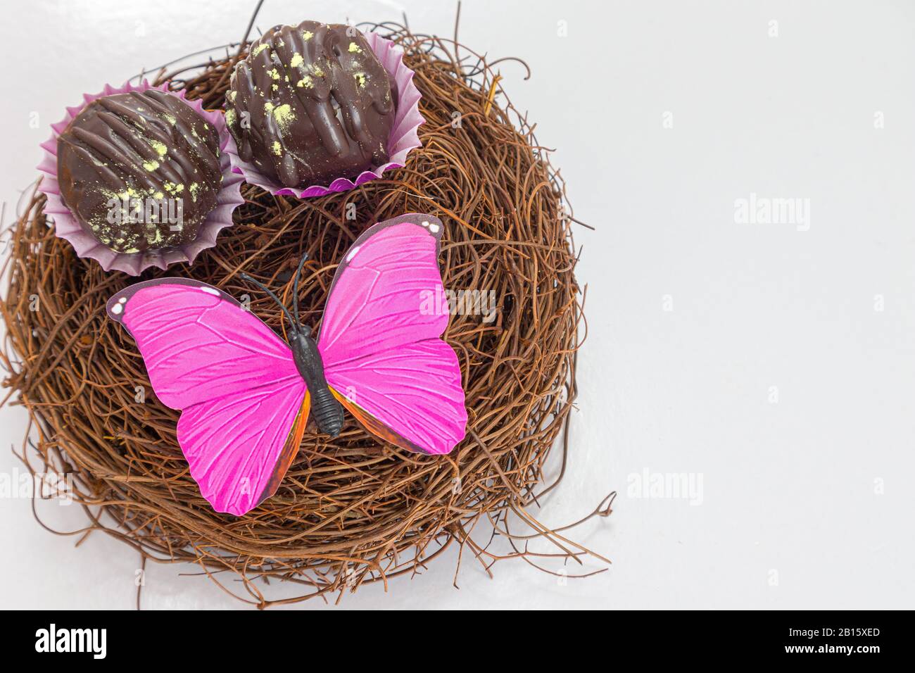 Butterfly nest hi-res stock photography and images - Alamy