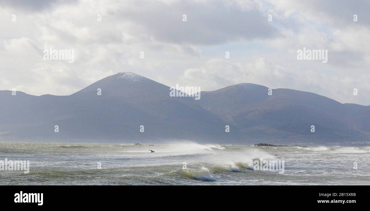 Tyrella, County Down, Northern, Ireland. 23rd Feb, 2020. UK weather - a ...