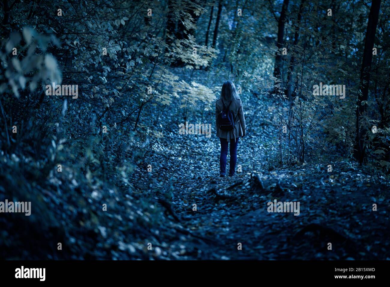 Walking Alone In The Woods At Night