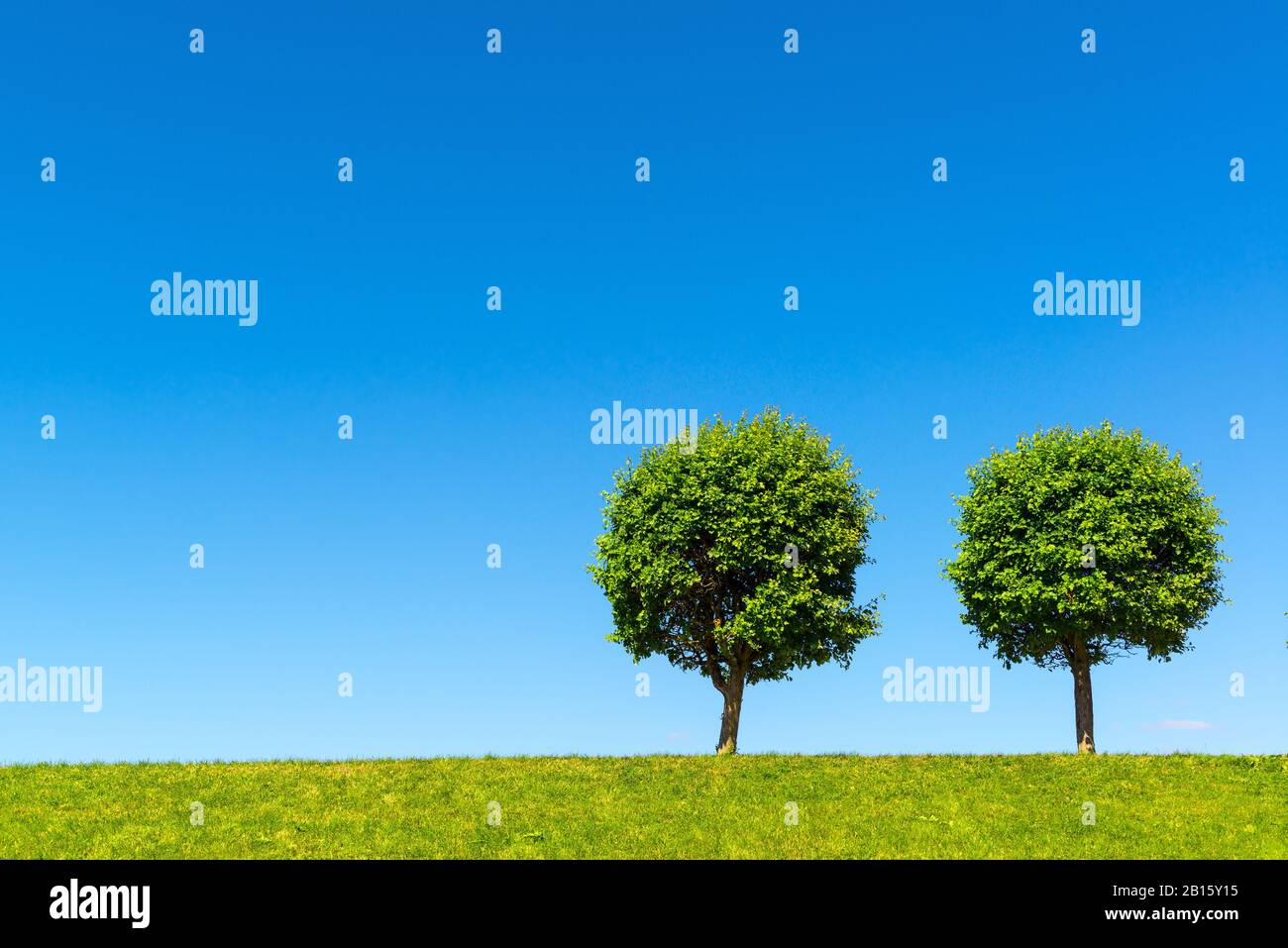 Blue sky trees and skyline hi-res stock photography and images - Alamy