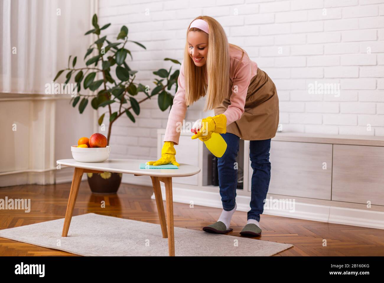 Female housewife cleaning furniture hi-res stock photography and images ...