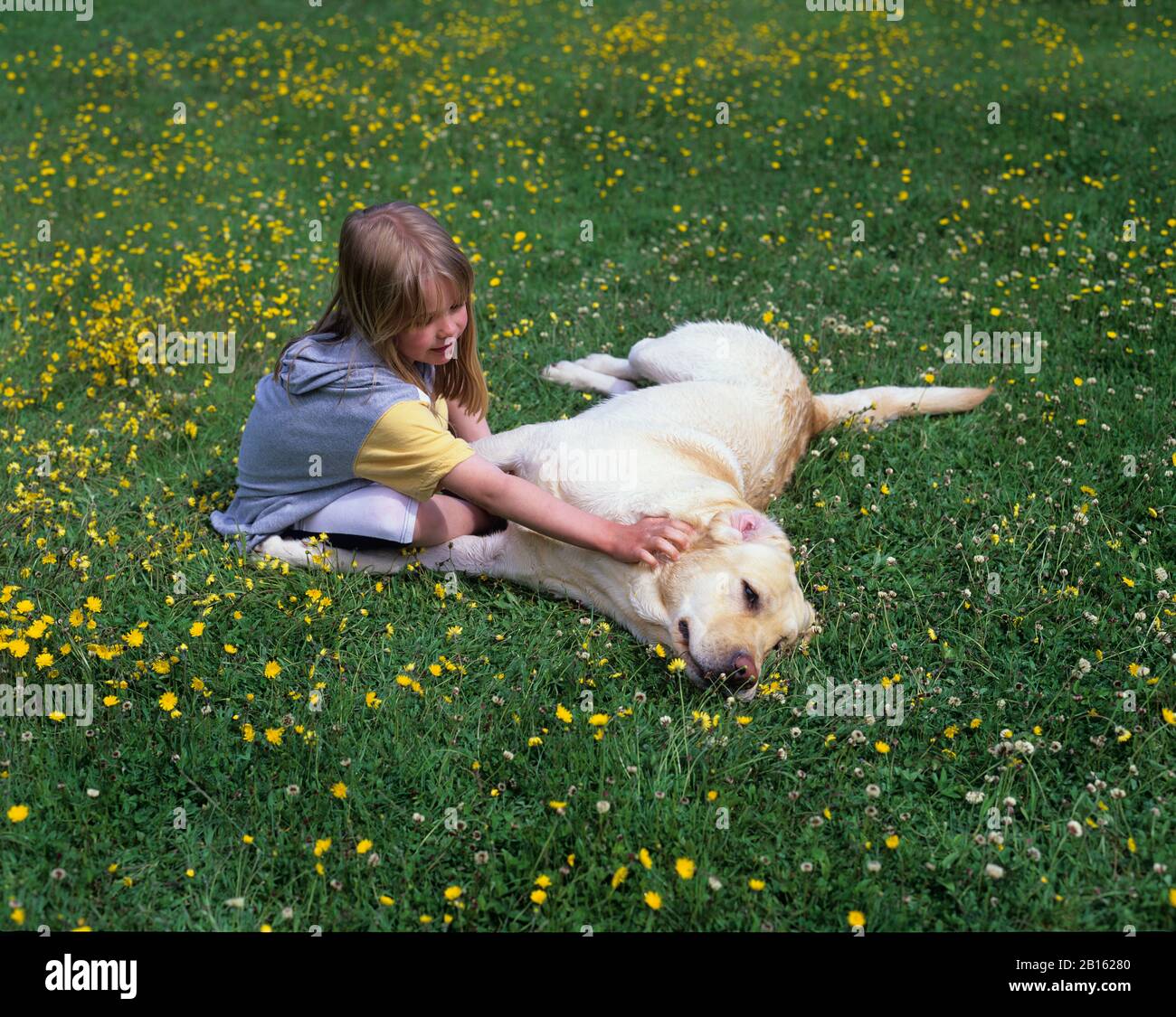 Girl with her dog Stock Photo - Alamy