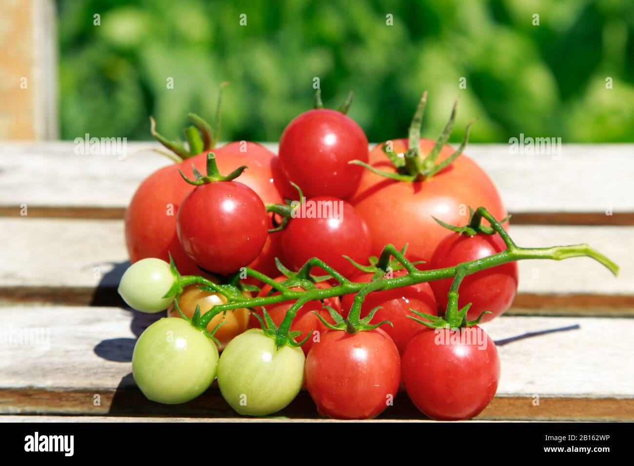 Campo pomodori hi-res stock photography and images - Alamy