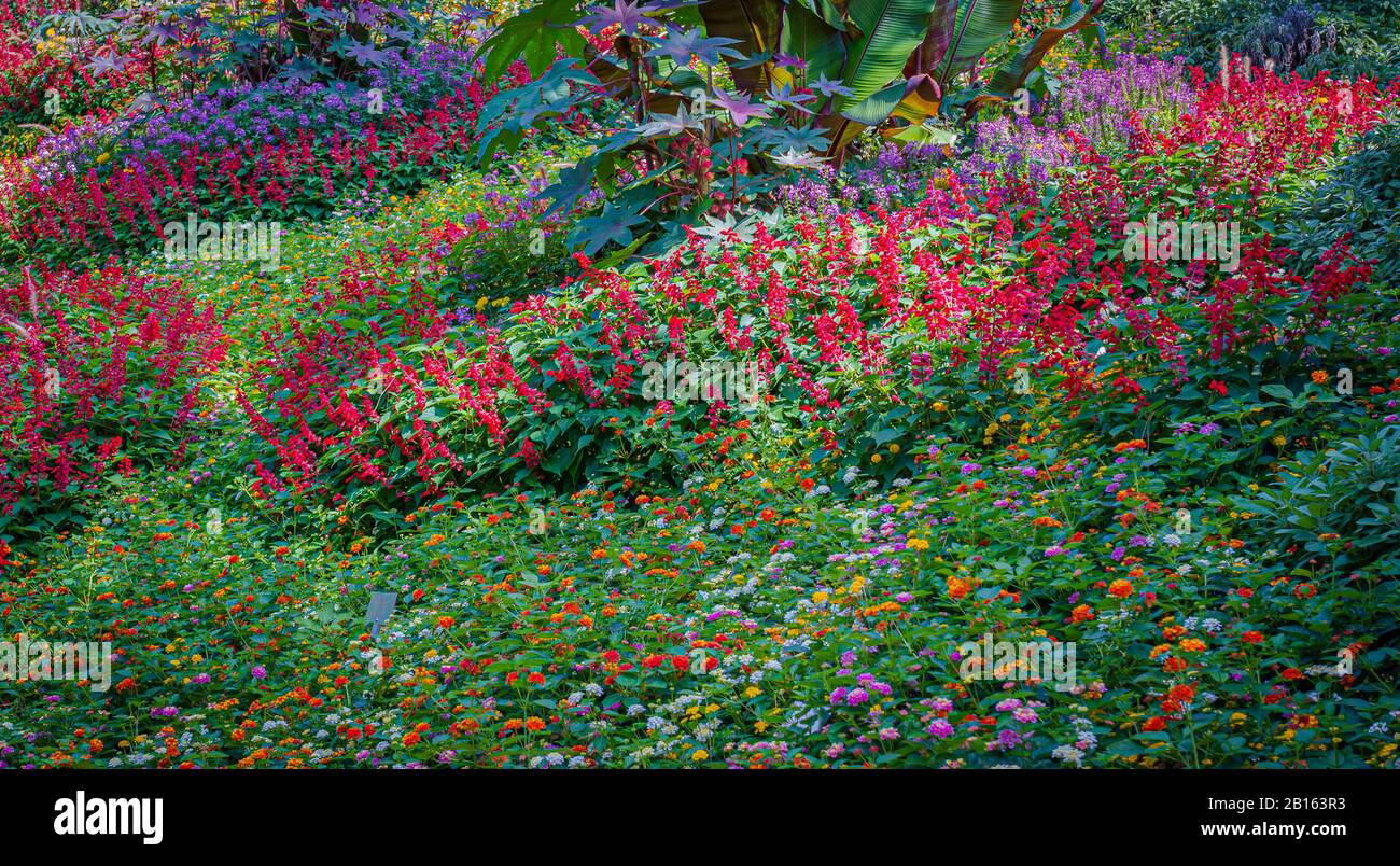 Beautiful colours in nature hi-res stock photography and images - Alamy