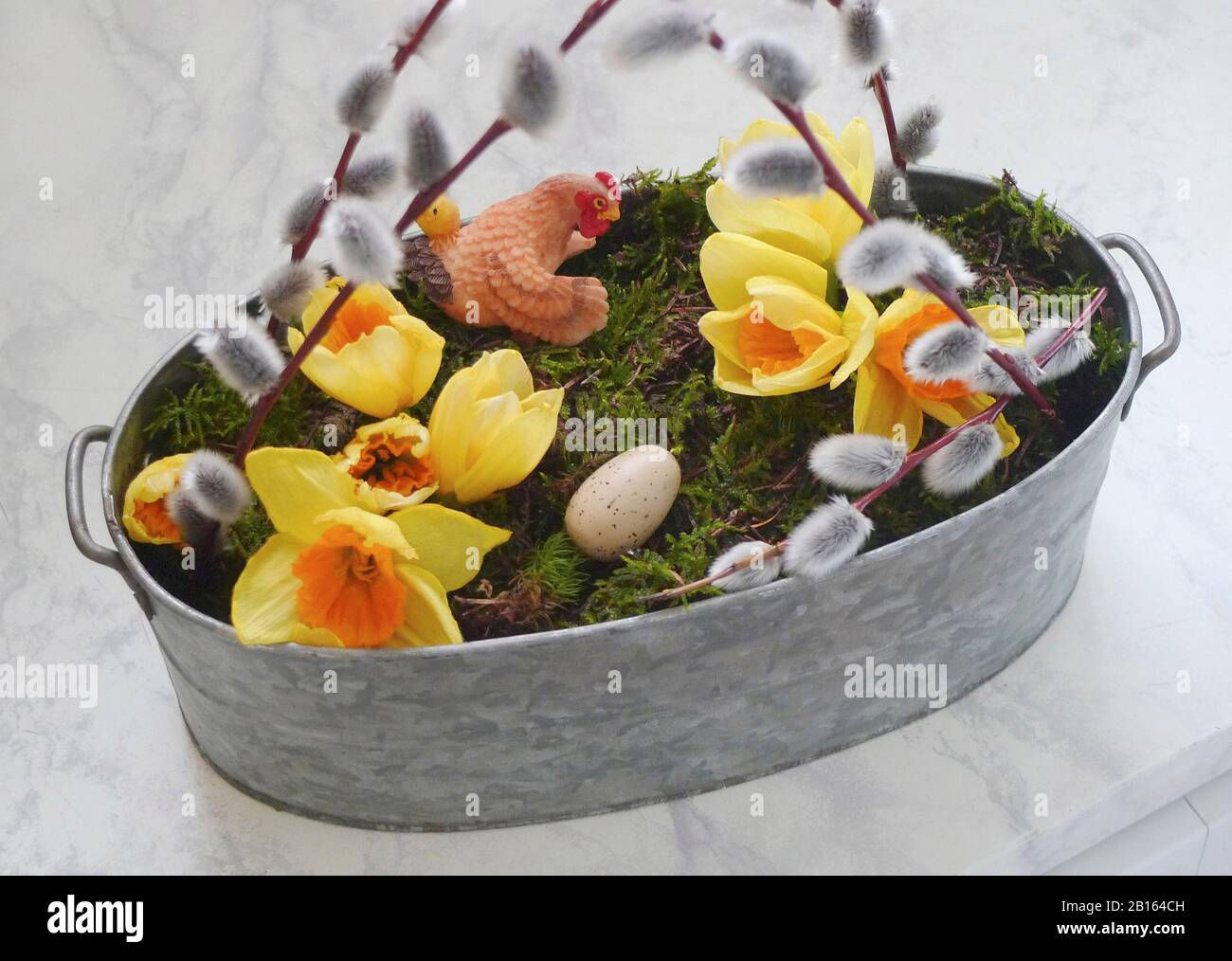 Green easter pot flowers hi-res stock photography and images - Alamy