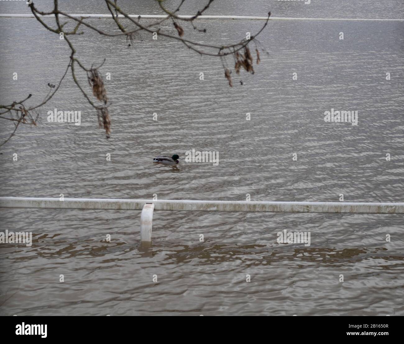 Weather floods race course hi-res stock photography and images - Alamy