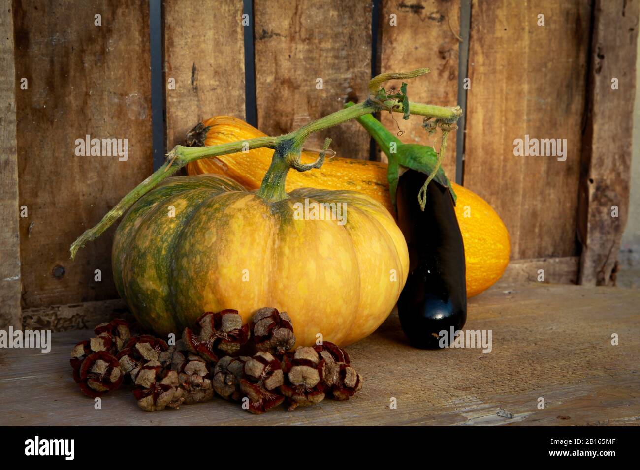 zucca e zucchine Stock Photo - Alamy