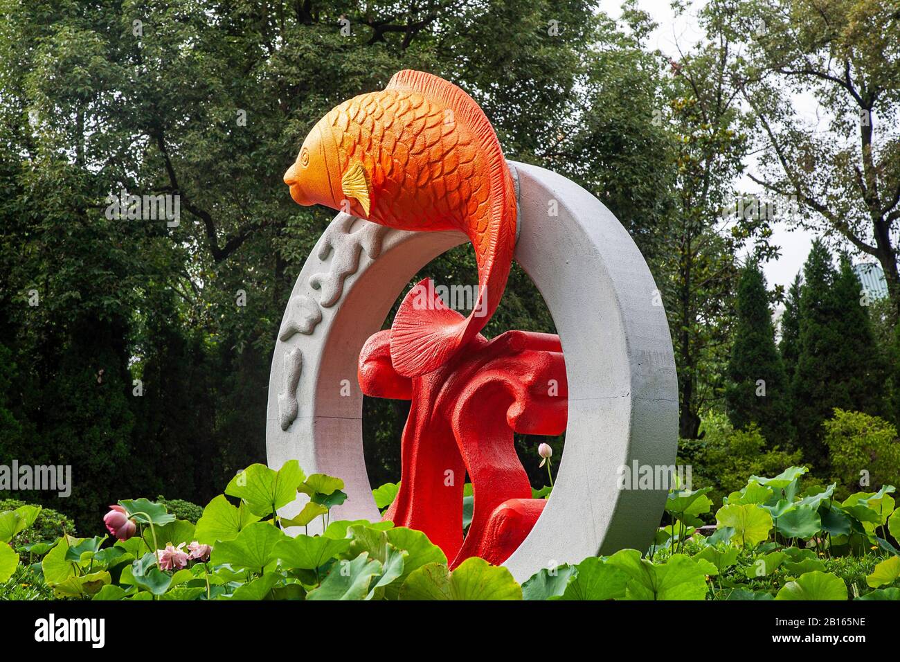 Sculpture of large orange fish in jumping from pond in Chengdu People's ...