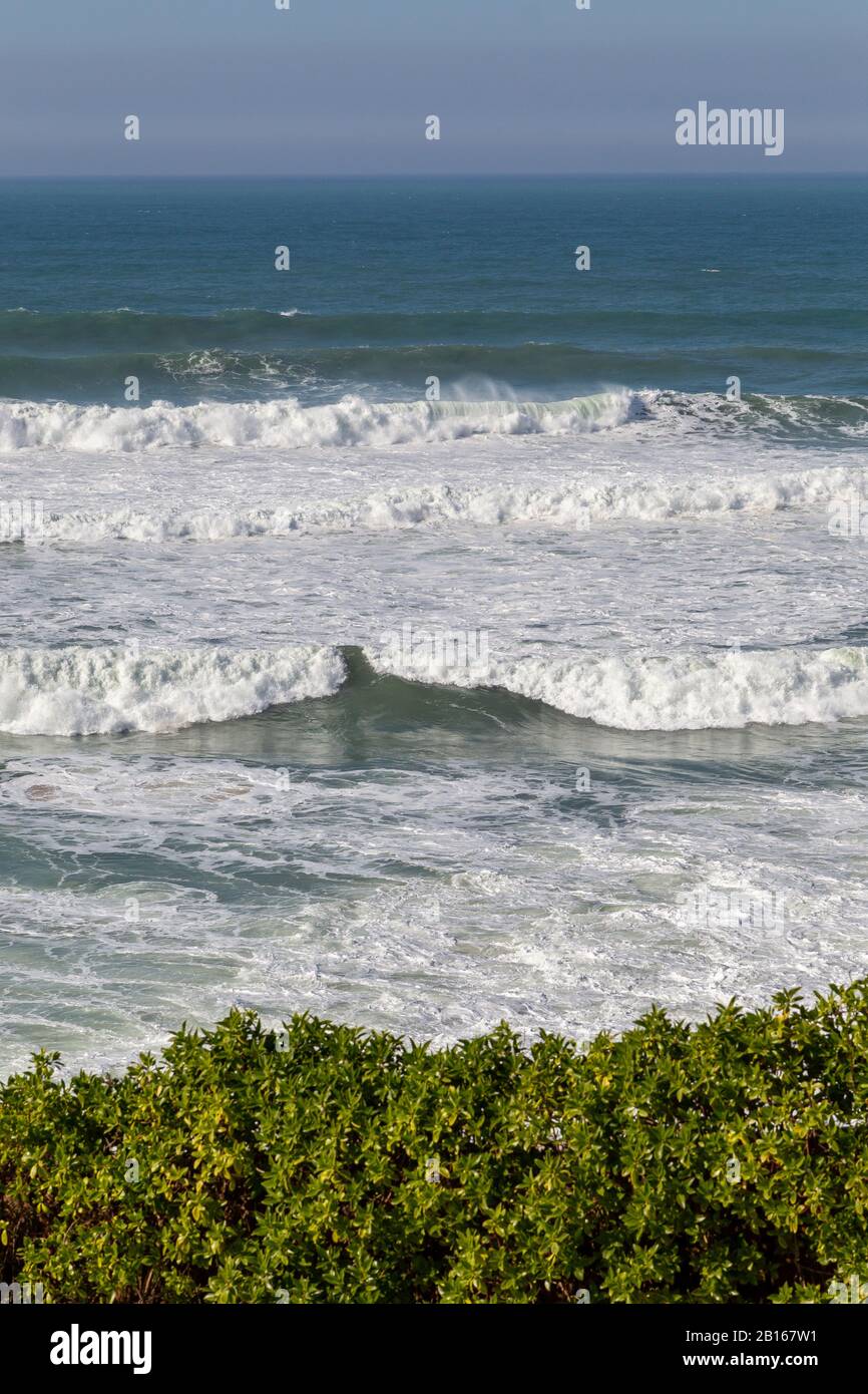 Ocean coast with grass, moviment waves with foam. Wind power. Turquoise ...