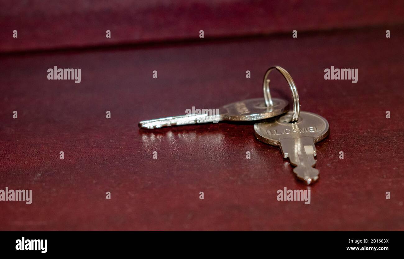 A lock is a mechanical or electronic fastening device that is released ...