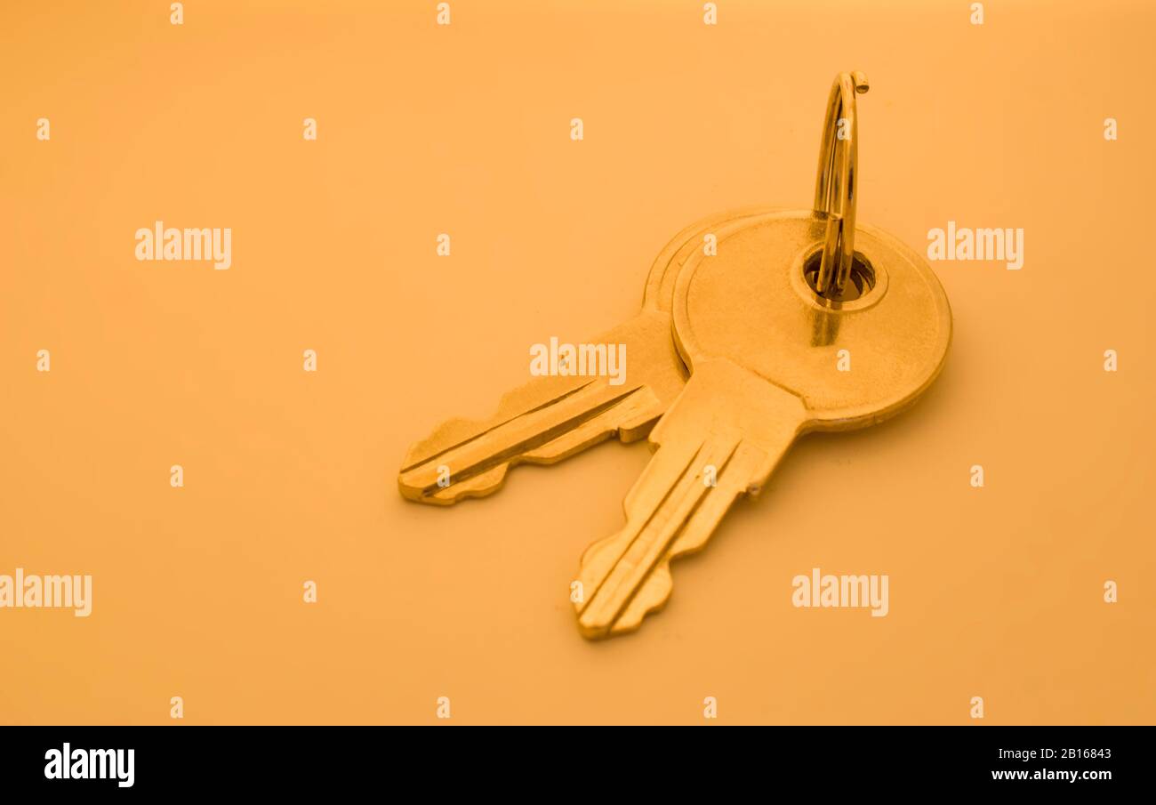 A lock is a mechanical or electronic fastening device that is released ...