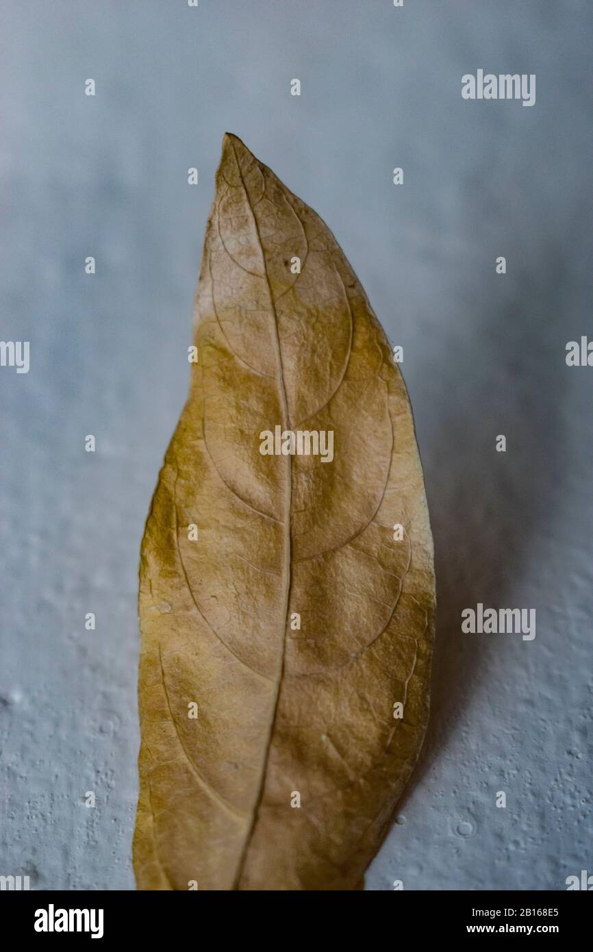 Abstract art uses visual language of shape, form, color and line to ...