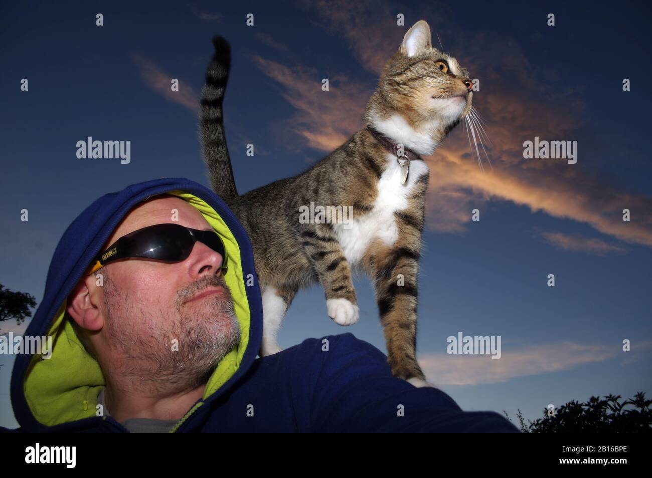 Man cat 50s hi-res stock photography and images - Alamy